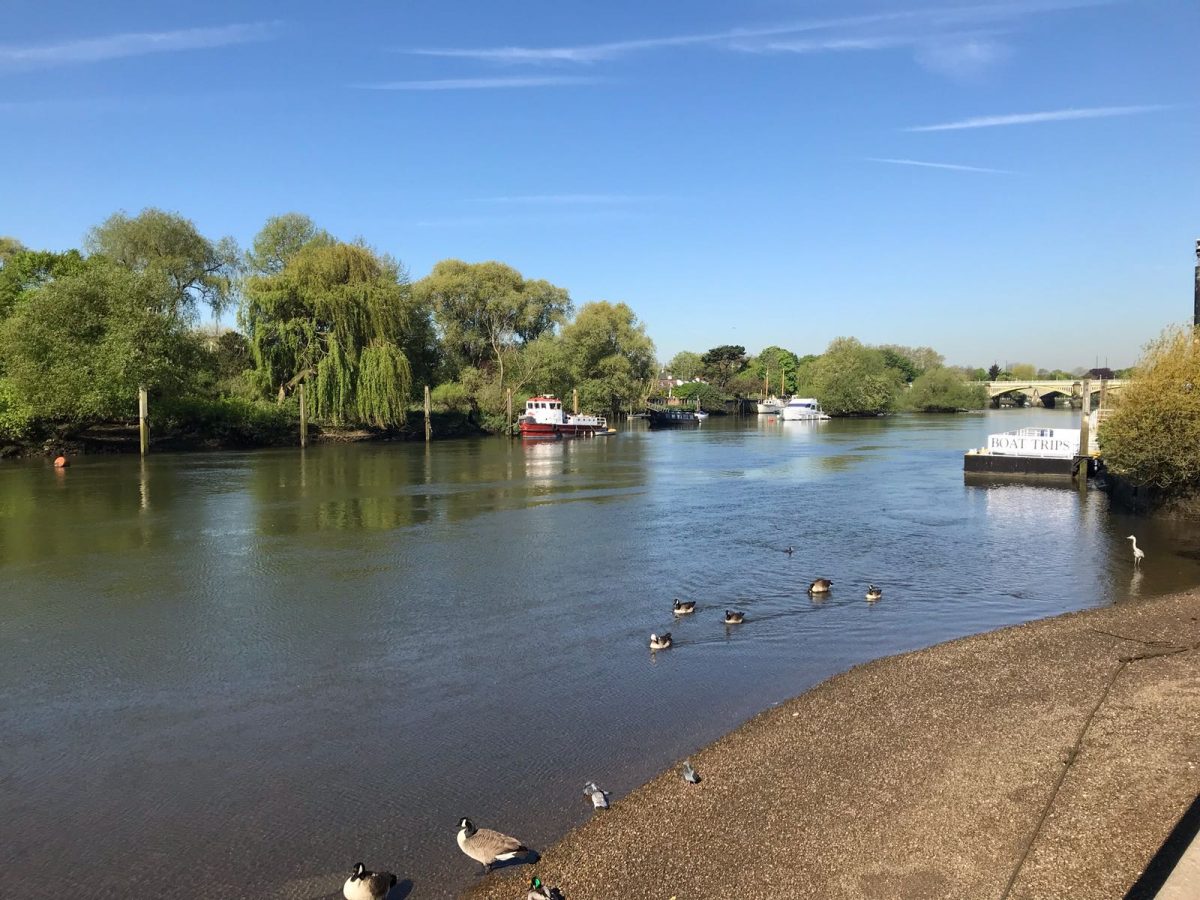Tales From The Riverbank: The Thames 100 Run | Free Spirit Fitness Culture